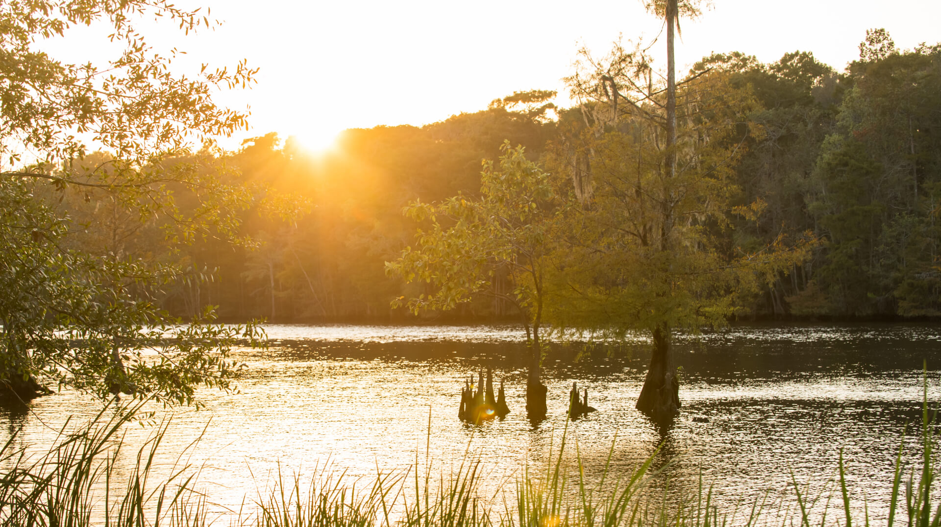 Hideaway Map | Pick Your Spot | Hideaway RV Resort